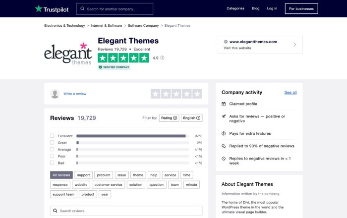 WordPress Theme Selection Tips For Business In 2022 | WP Swings