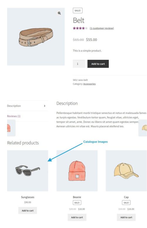 Types Of Woocommerce Issues And How To Fix Them Wp Swings