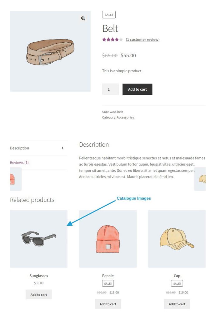 Types Of WooCommerce Issues & How To Fix Them | WP Swings