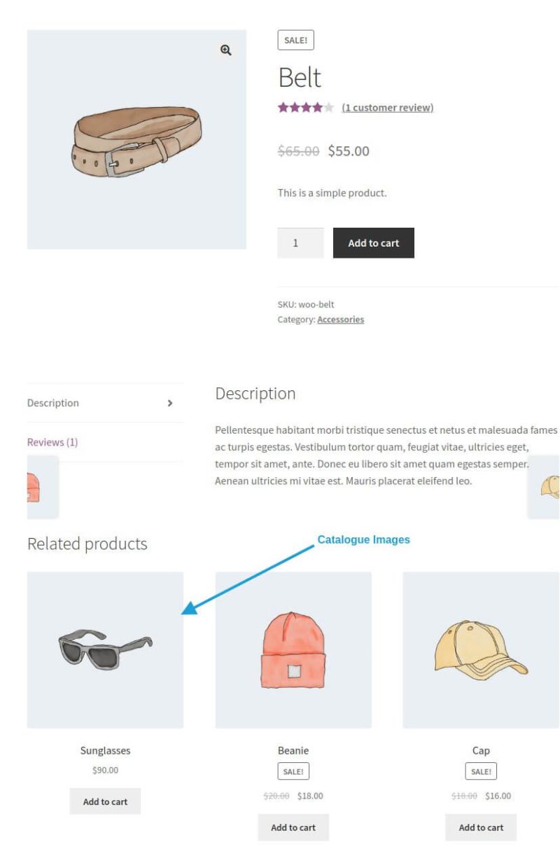 Types Of WooCommerce Issues & How To Fix Them | WP Swings