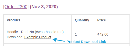 Types Of Woocommerce Issues And How To Fix Them Wp Swings