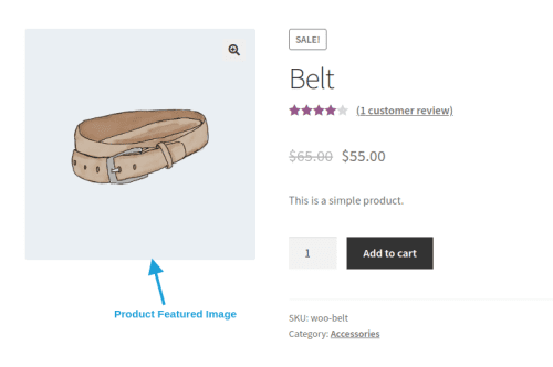 Types Of Woocommerce Issues And How To Fix Them Wp Swings