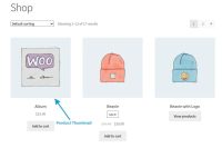 Types Of WooCommerce Issues & How To Fix Them | WP Swings