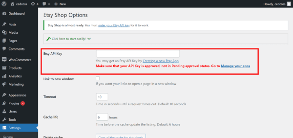 Start Online Business With WordPress Etsy Store | WP Swings