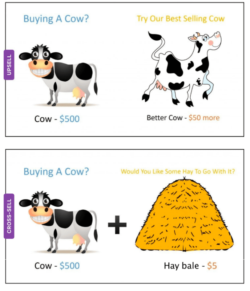 Upselling And Cross-Selling: All You Need To Know | WP Swings