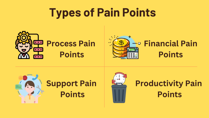 Customer Pain Points: Identification And Solution | WP Swings