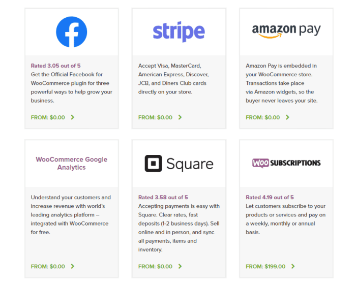 Boost Your eCommerce Store With WooCommerce Extensions