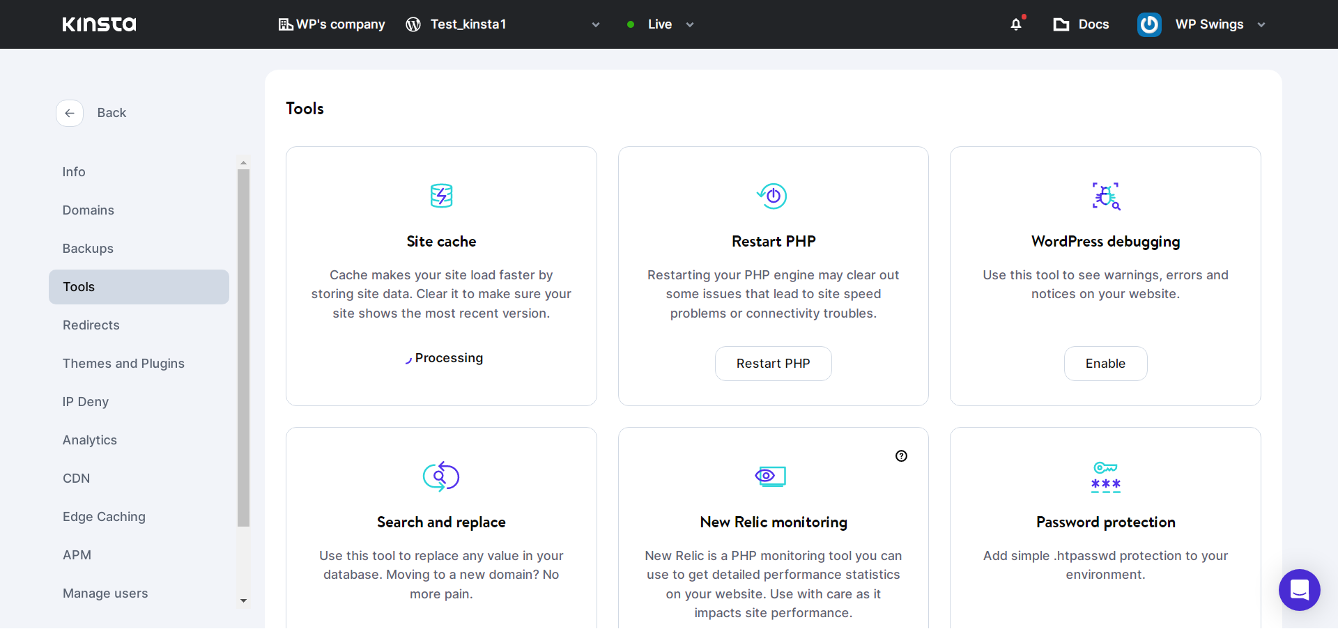 Kinsta Web Hosting: Is It Worth The Hype? | WP Swings