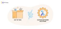 Out-of-Box vs Custom Solution: What to Choose? | WP Swings