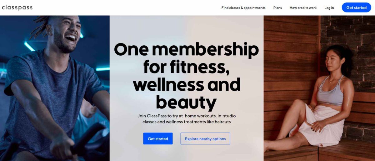 Subscriptions And Membership: What's Best Option? | WP Swings