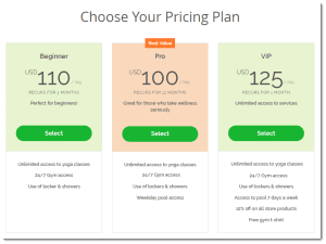Best Membership Pricing Models & Strategies In 2024 | WP Swings